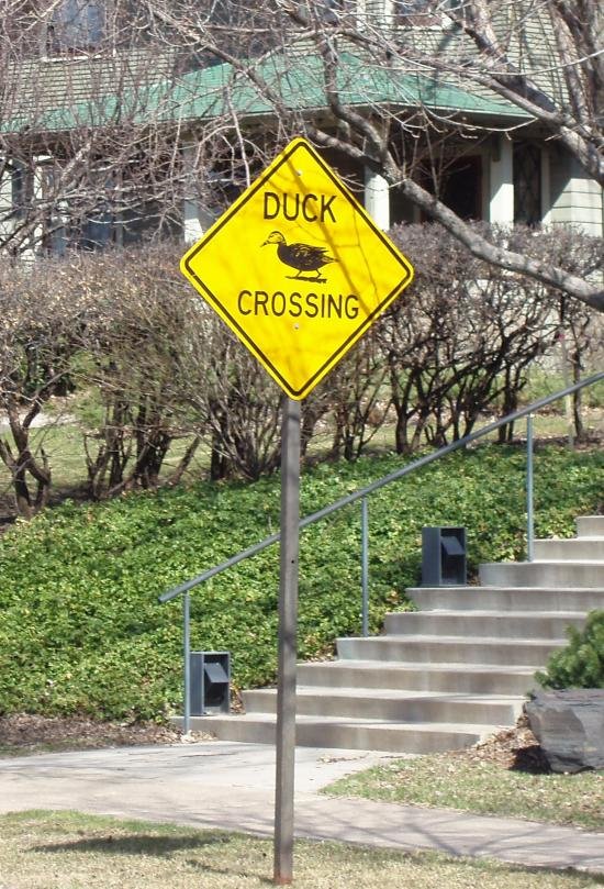 April | 2006 | Stumbling Over Chaos | Page 2